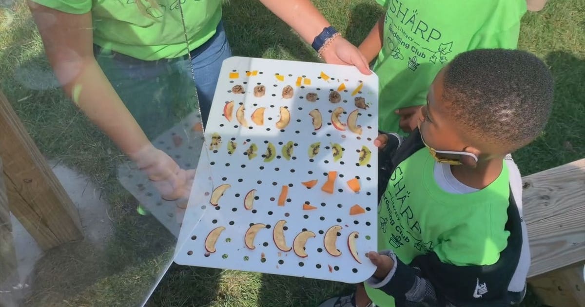 Silver Spring Neighborhood Center Garden Club plants seeds of STEM ...
