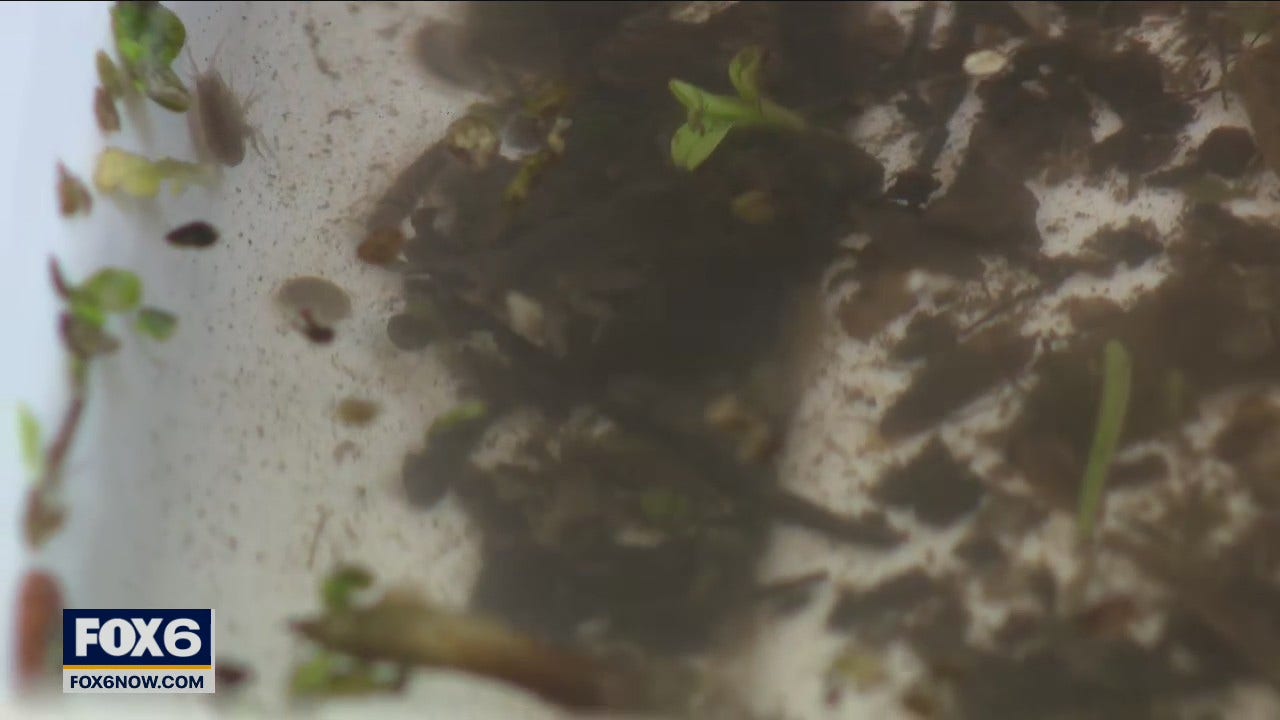 Retzer’s family focused volunteer event | FOX6 Milwaukee