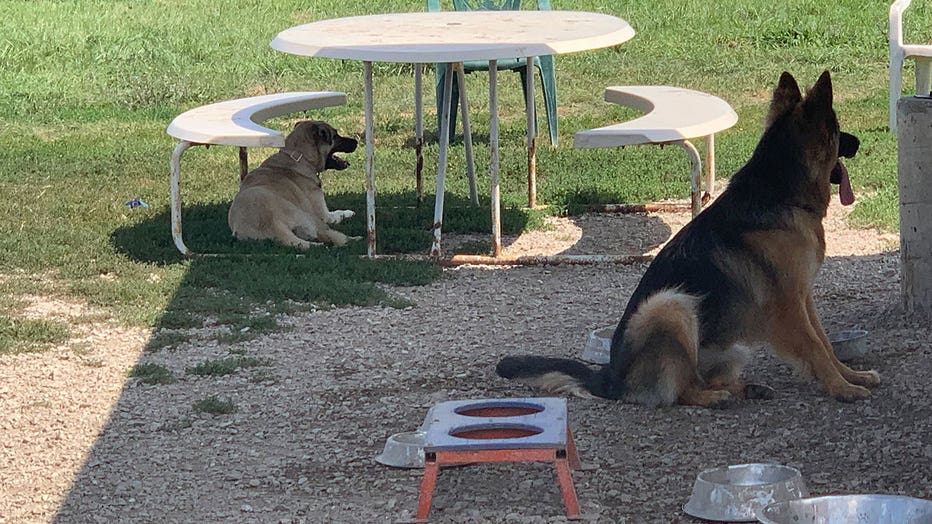 Runway Dog Exercise Area closing; Oak Creek park shuts down Nov. 1 ... Runway Dog Exercise Area closing; Oak Creek park shuts down Nov. 1 ...