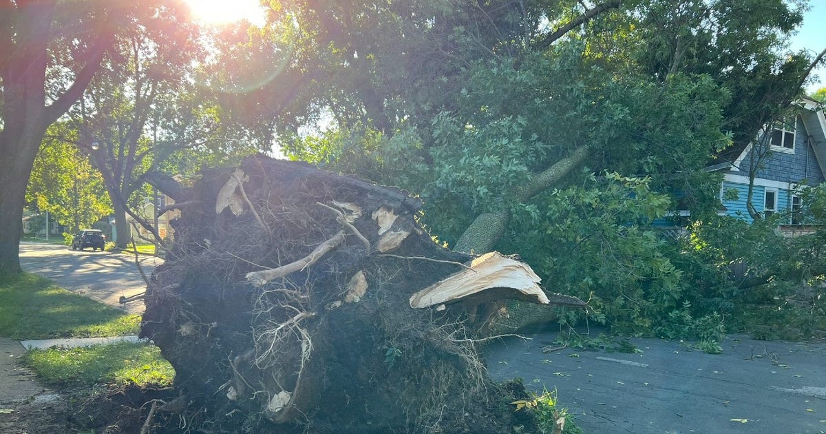 Storm damage in SE Wisconsin; trees, electrical wires down | FOX6 Milwaukee