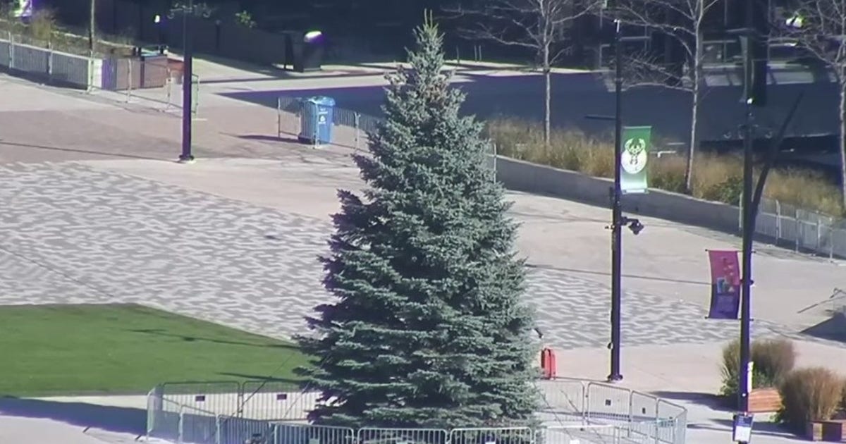 City of Milwaukee Christmas tree harvested Tuesday | FOX6 Milwaukee