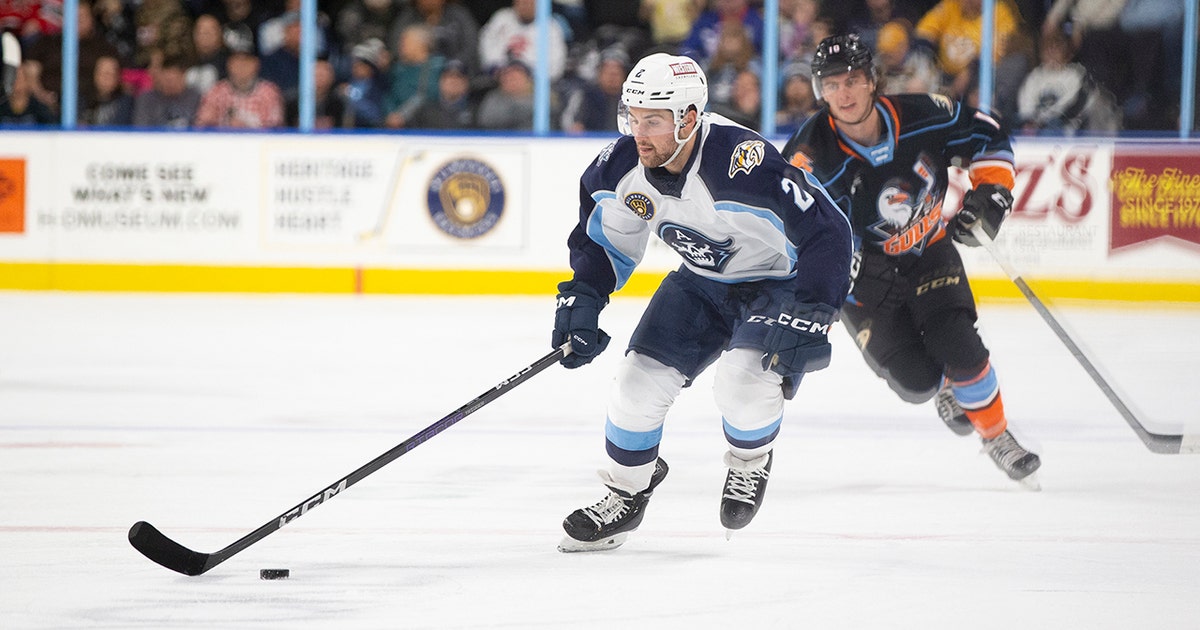 Admirals shut out, Gulls prevail in Milwaukee | FOX6 Milwaukee