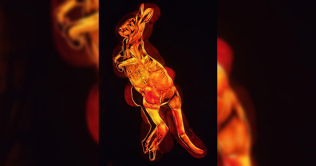 Racine Zoo Jack-O'-Lantern Nights to include pumpkin sculptures | FOX6 ...