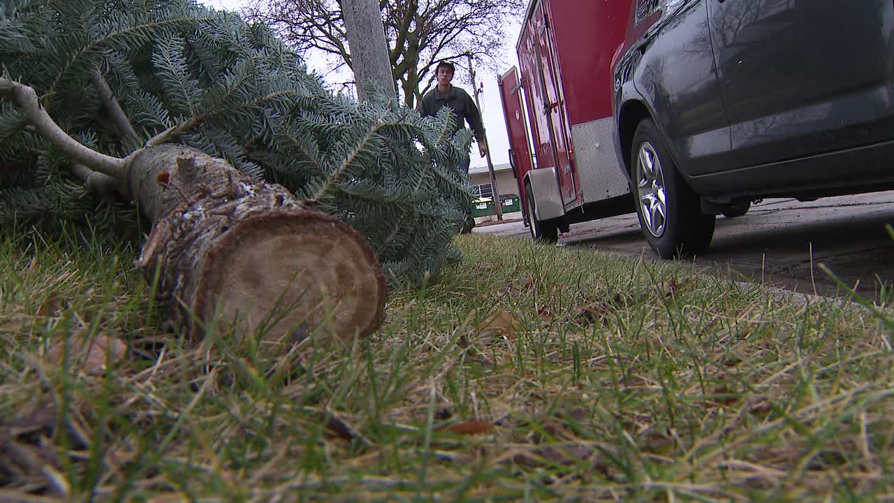 Christmas tree pickup; Milwaukee couple cashes in, helps others | FOX6 ...