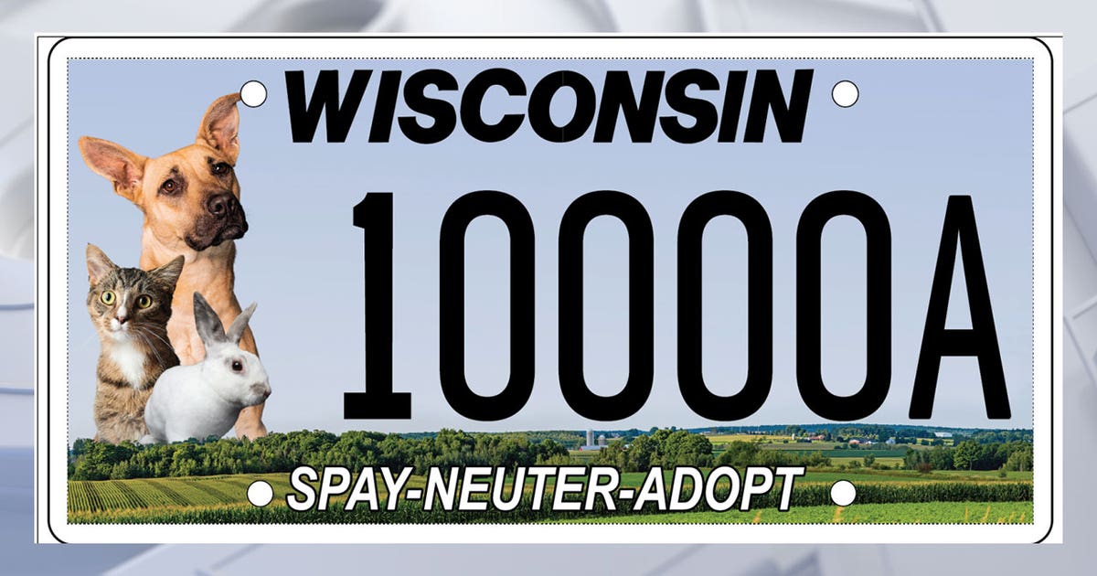 Wisconsin DMV: New special license plates released | FOX6 Milwaukee