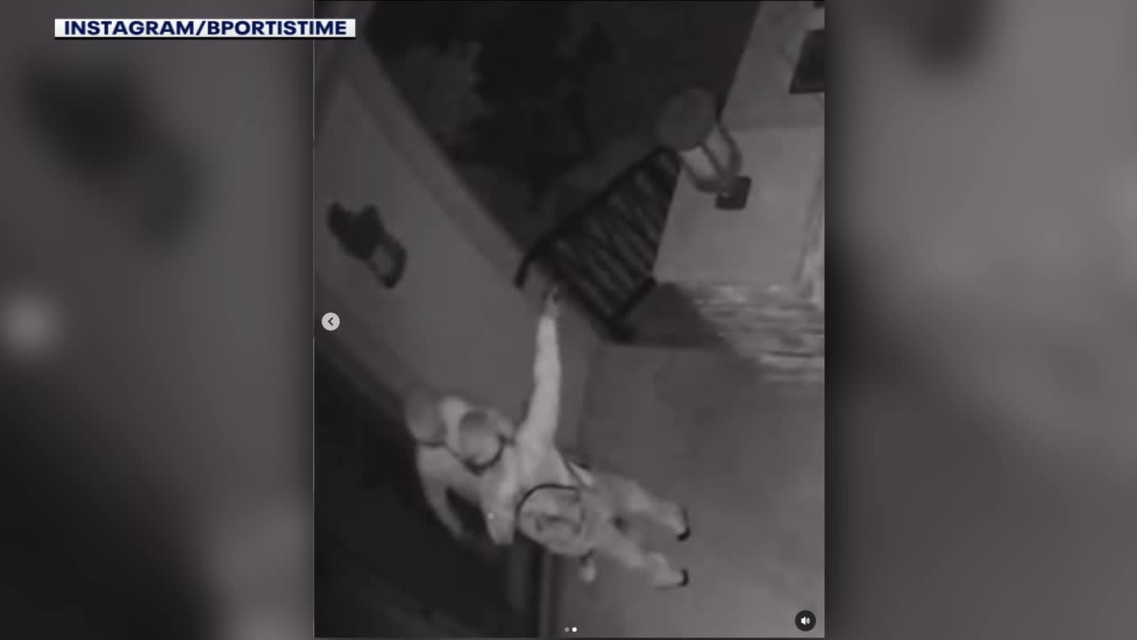 Bucks star Bobby Portis' home burglarized; possible crime ring ...