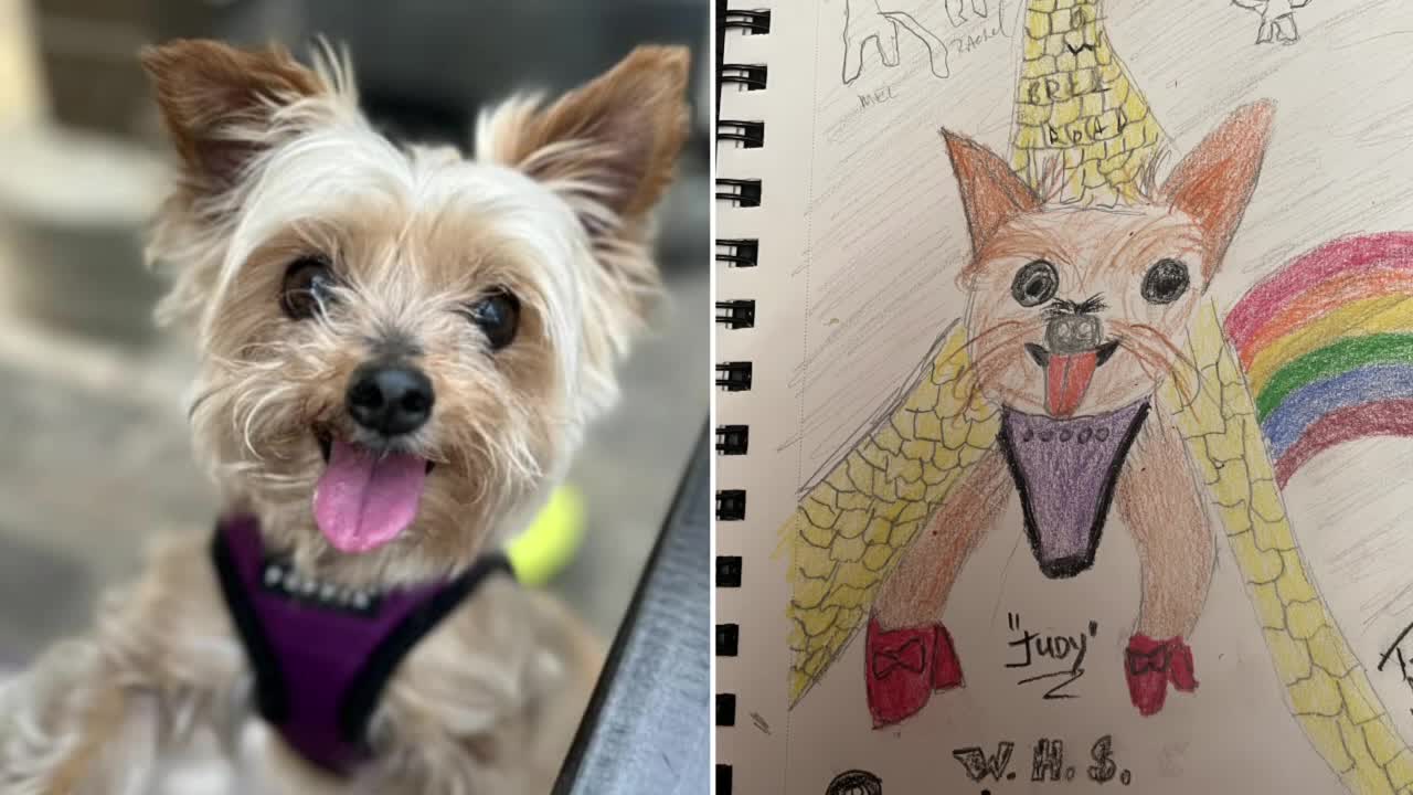 Wisconsin Humane Society holds 'Poorly Drawn Pets' fundraiser | FOX6 ...