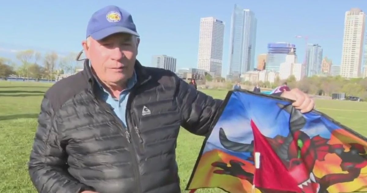 38th Annual IKEA Family Kite Festival takes flight at Veterans Park ...