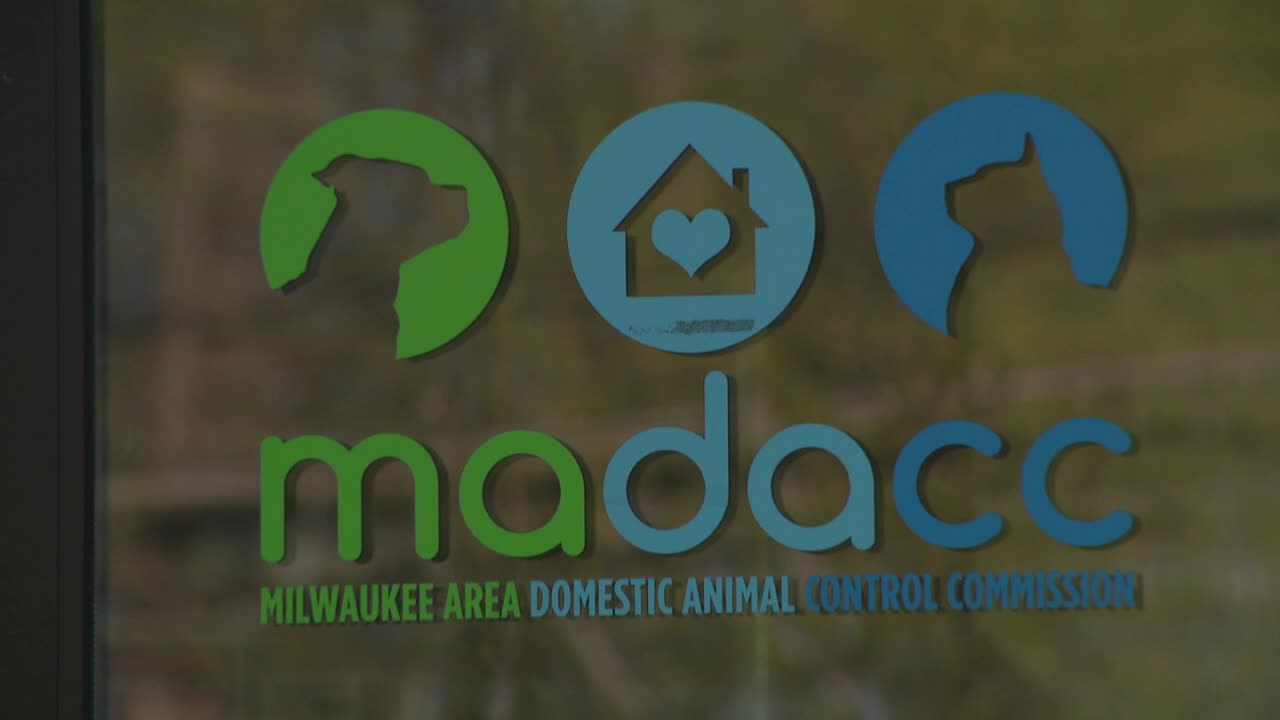 MADACC overcrowding: Fee-waived adoptions available thru Sept. 21 ...