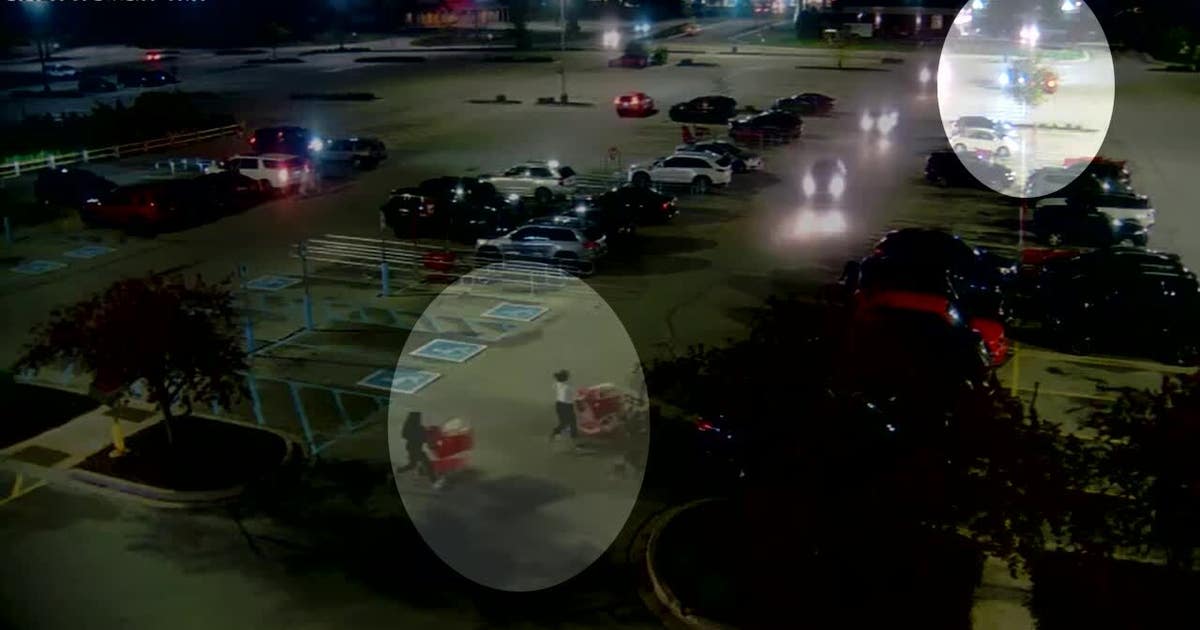 Grafton Flock camera theft bust; 2 women caught right outside store ...