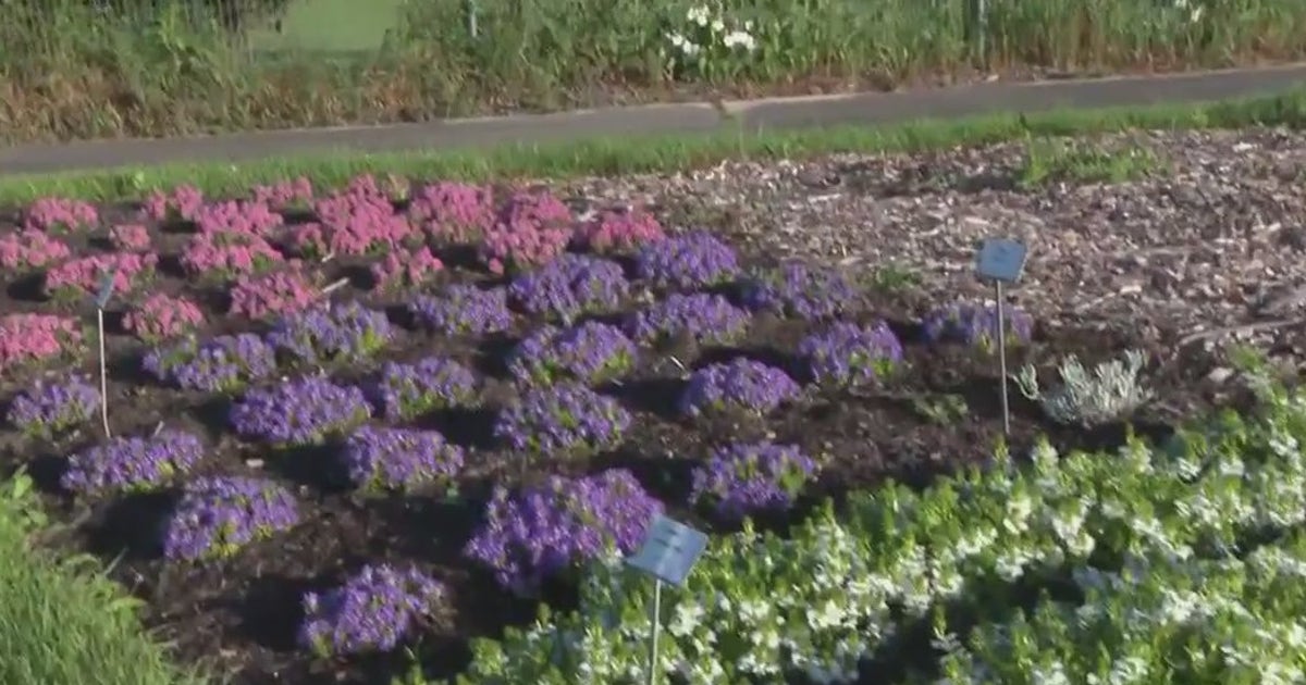 Boerner Botanical Gardens offers plant lovers chance to take in nature ...