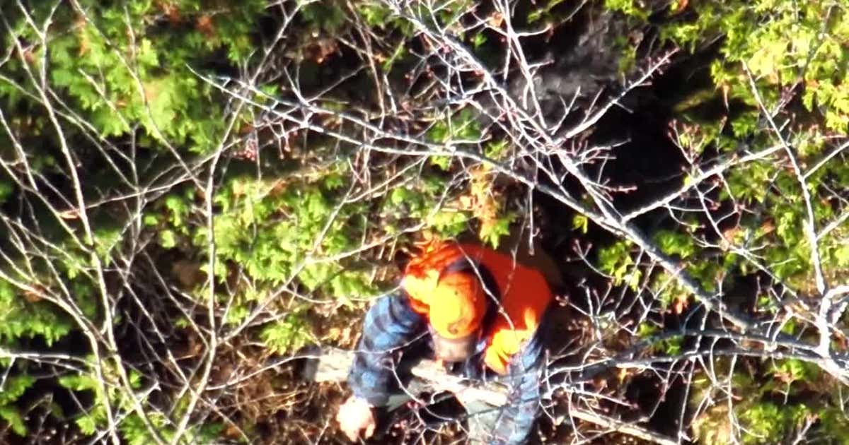 Hunter lost in Jackson marsh; first responders use app, drone to find ...