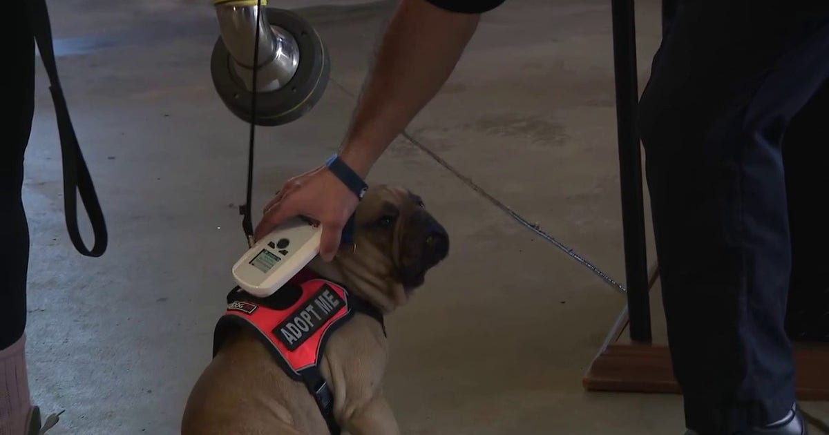 Milwaukee Fire Department: Microchip scanners in use at all stations ...
