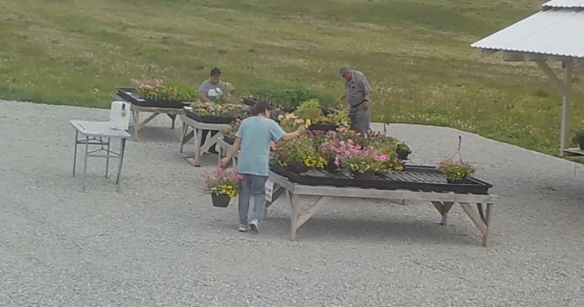 $310 worth of plants stolen from honor-system farm stand, suspects ID'd ...