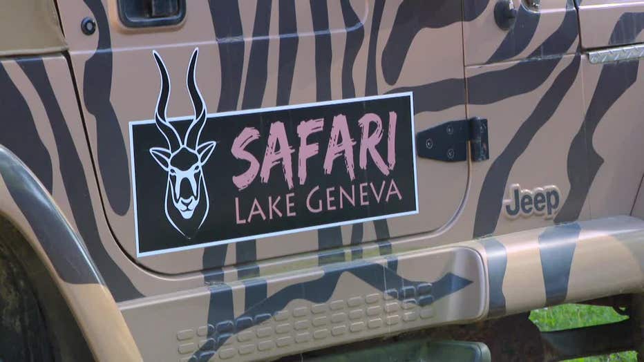 African stork in Wisconsin: Safari Lake Geneva owner recalls rescue ...
