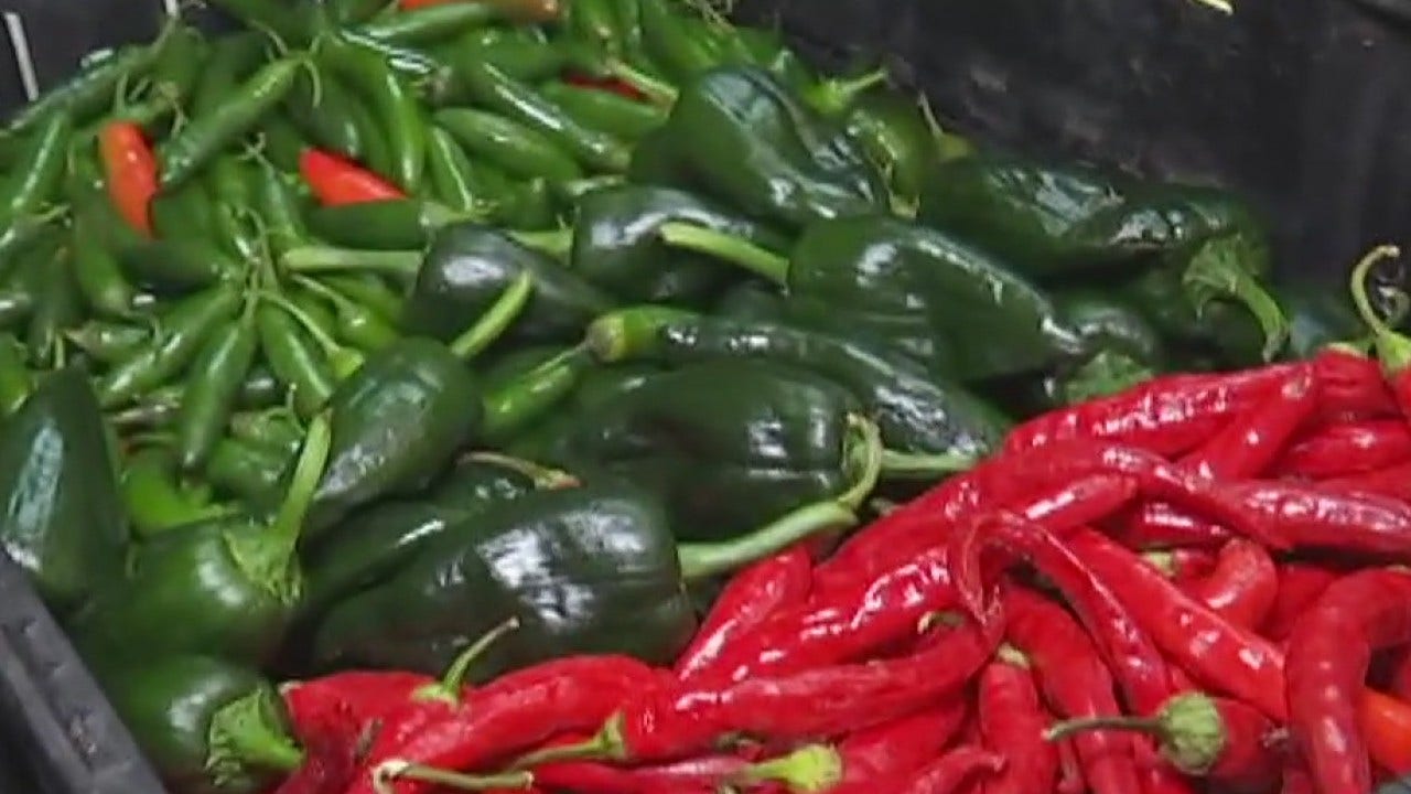 Sustainable Food Center: Middle Ground Farm