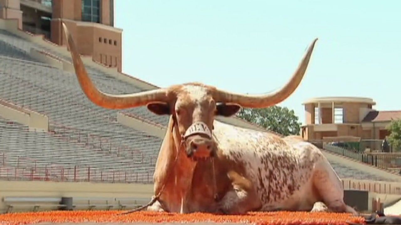 Bevo Blvd, UT's new fan zone, kicks off at home opener | FOX 7 Austin