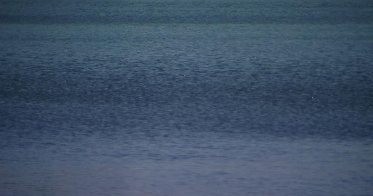 Body found in Lake Pflugerville; police investigating | FOX 7 Austin