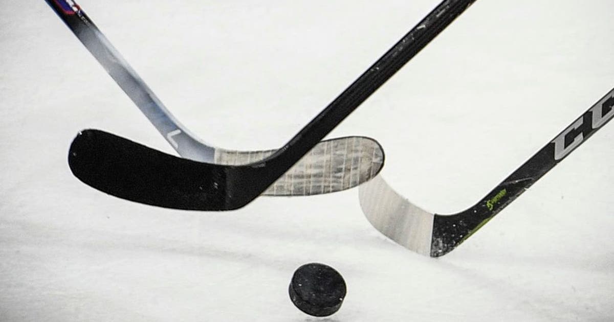 Could Austin or Houston get a new NHL team? | FOX 26 Houston