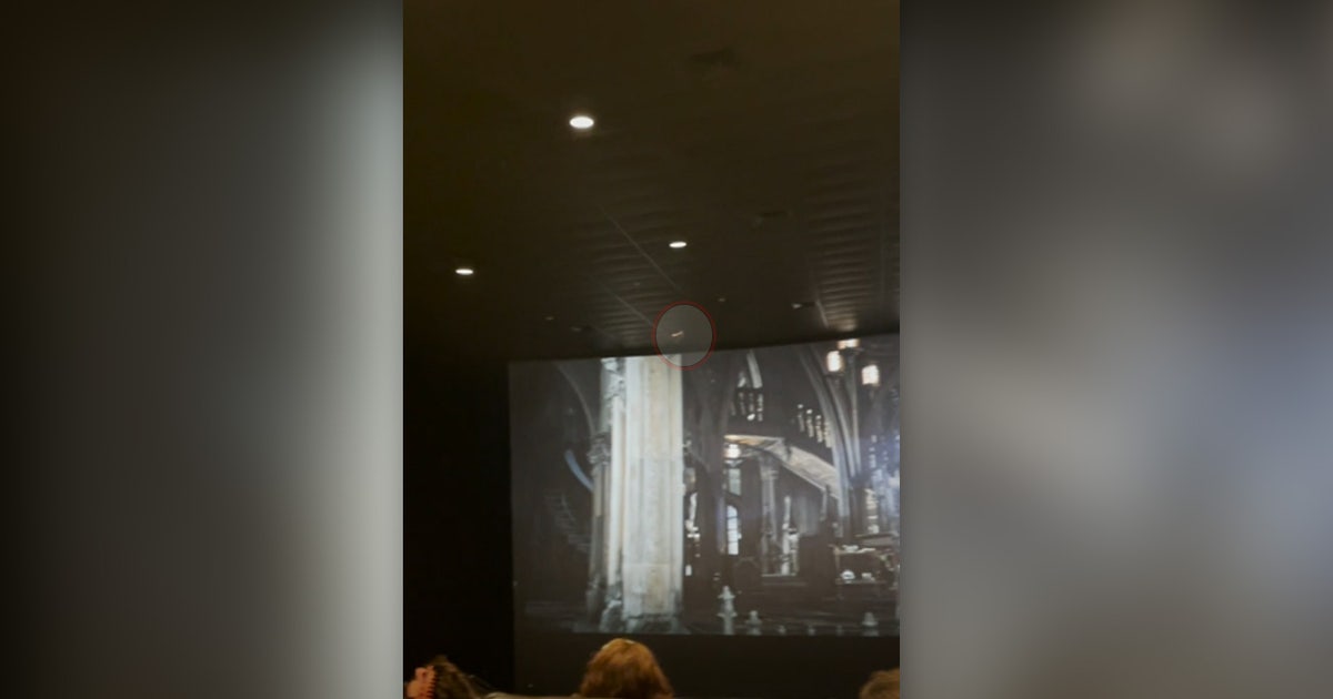 Live bat released during 'The Batman' screening in Austin theater | FOX ...
