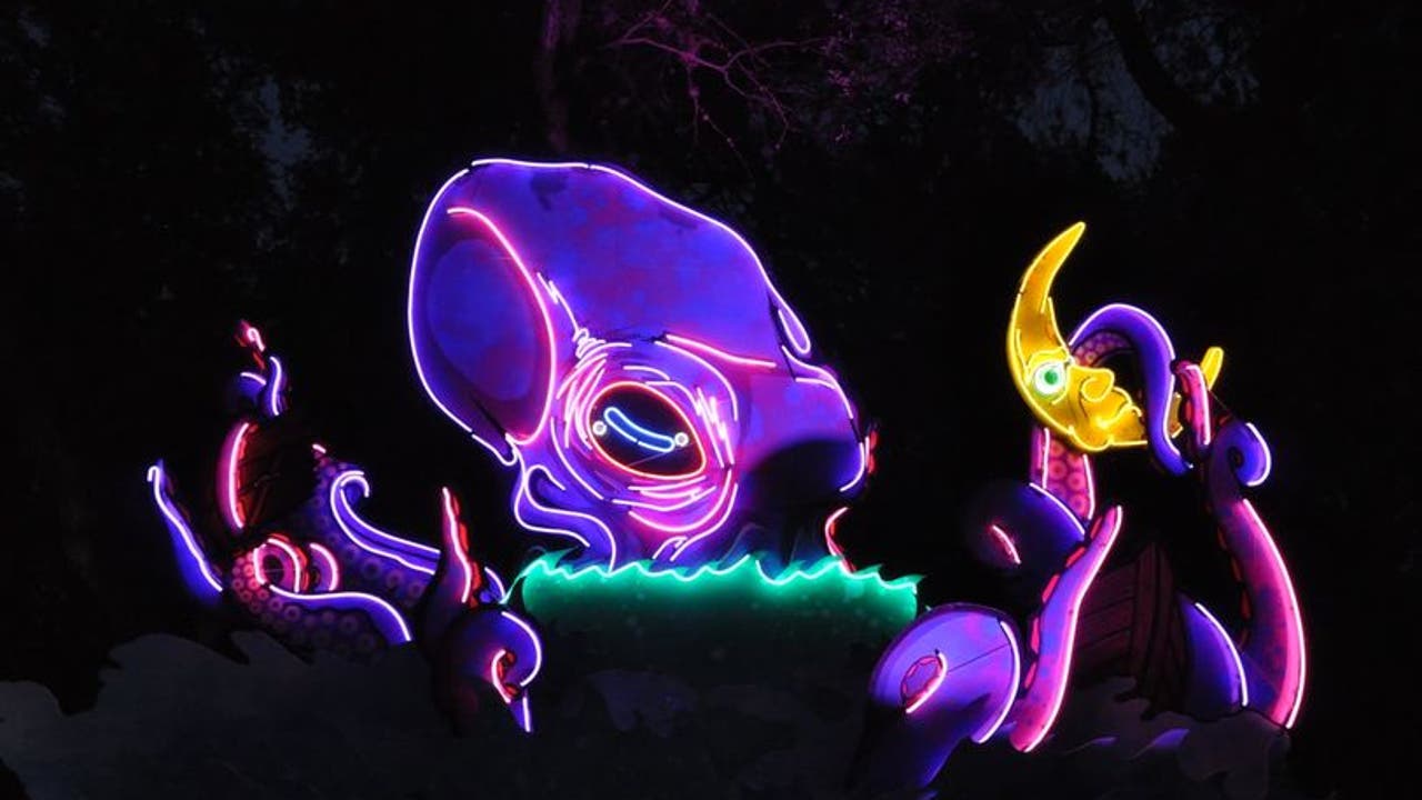 Ion Art transforms Zilker Botanical Garden into immersive neon ...