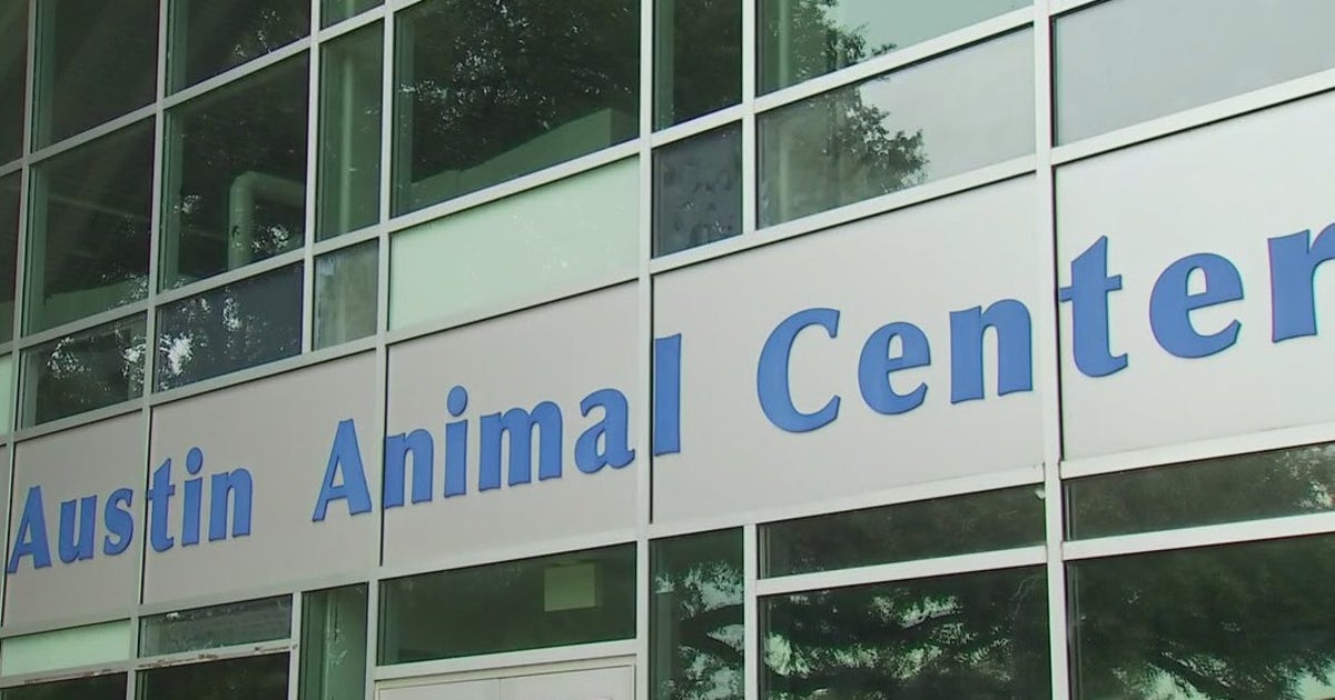 Austin Animal Center creates urgent placement list | FOX 7 Austin