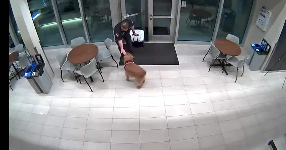 Video: Fire dog in Georgetown unlocks door after officials get locked ...