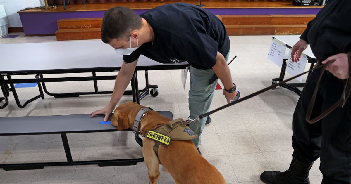 United States is short on bomb-sniffing dogs; relies on importing ...
