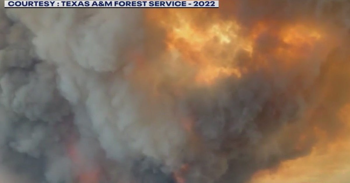 Wildfire threats increase in Texas; forest service to heighten ...