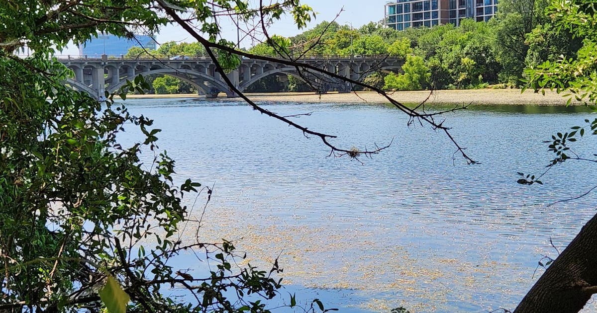 Body found in Lady Bird Lake; police believe it could be missing ...