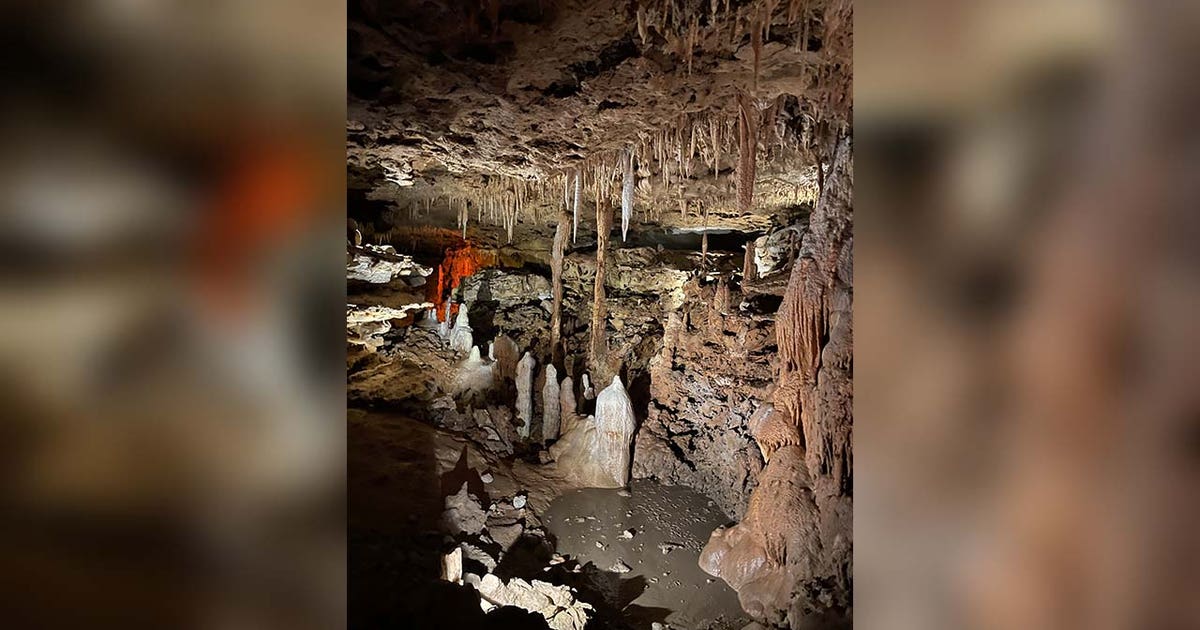 Inner Space Caverns celebrates 60 years since its discovery | FOX 7 Austin