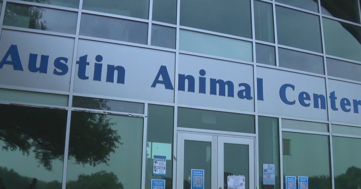 Austin Animal Center makes changes to management system years after ...