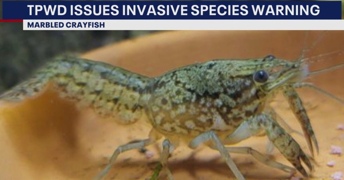 Texas Parks & Wildlife warns of invasive species | FOX 7 Austin