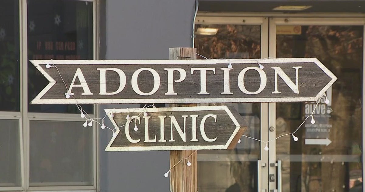 Austin weather: Austin Pets Alive! asks for community's help during ...