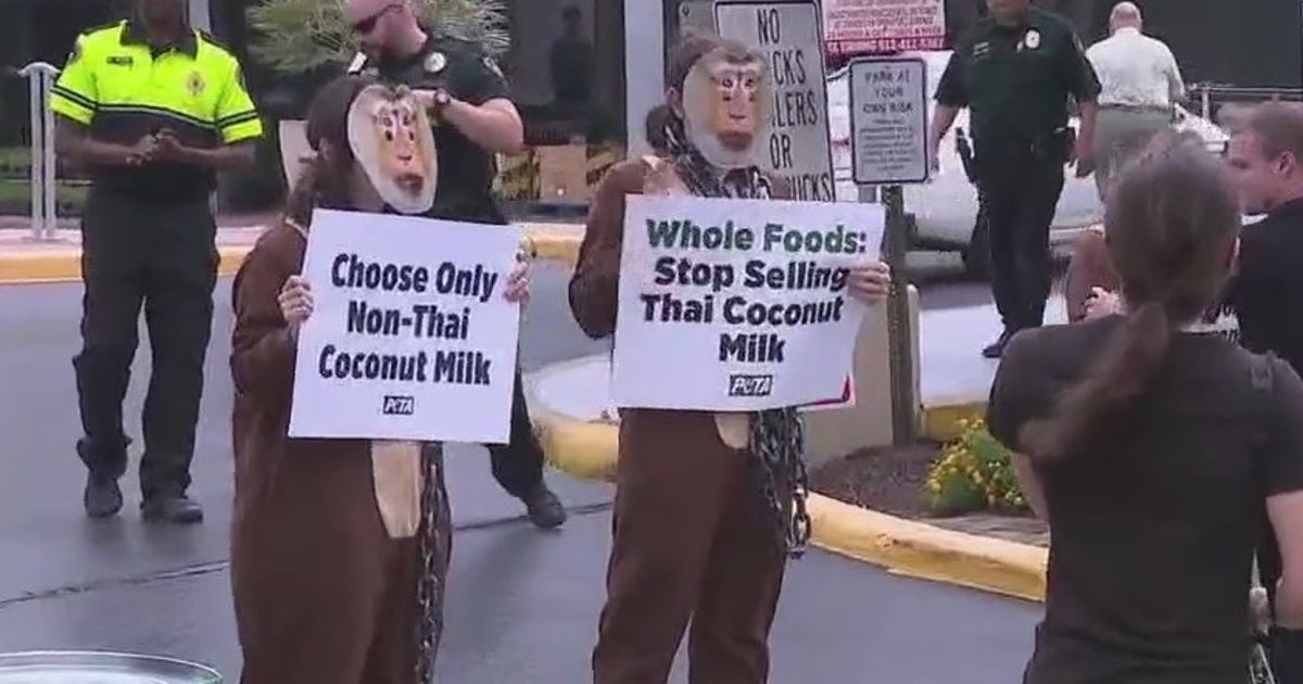 PETA activists dress up in monkey suits, chains to protest at Austin ...