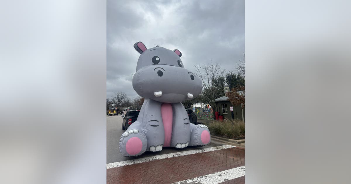 Hutto hippos: How one city is celebrating World Hippo Day | FOX 7 Austin
