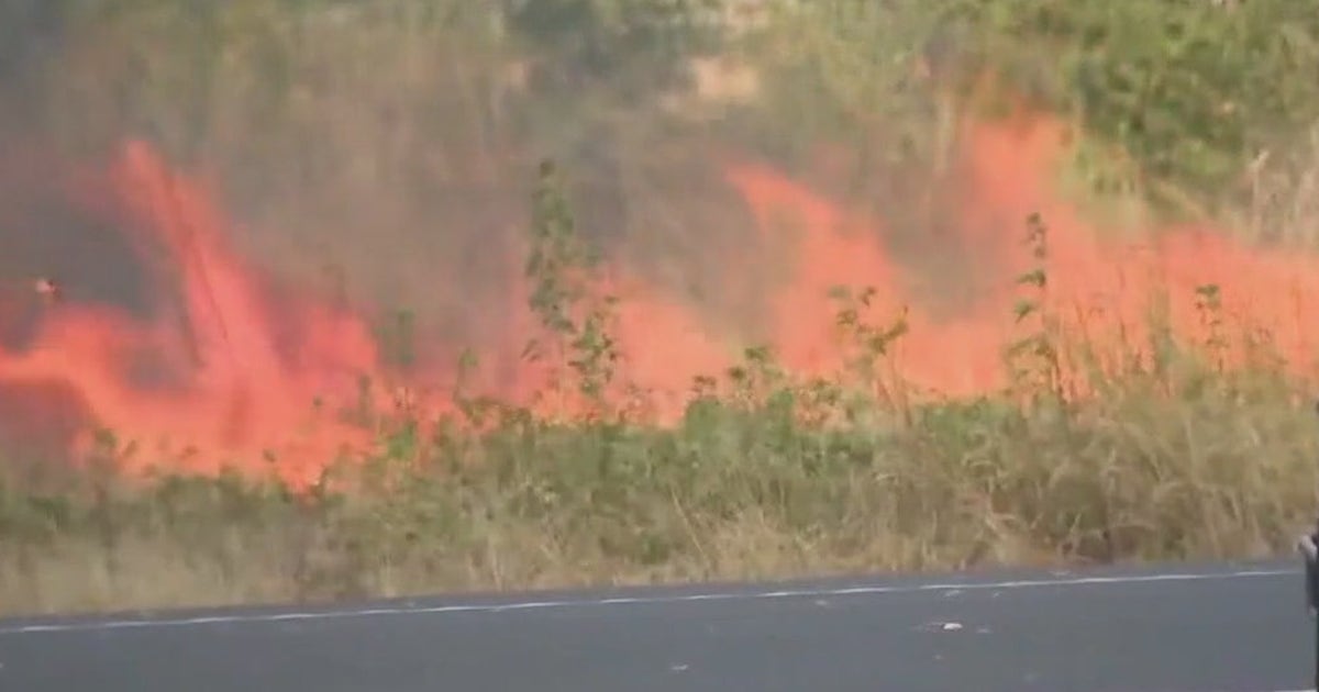'No-ember November' campaign raises awareness of wildfire risk in ...
