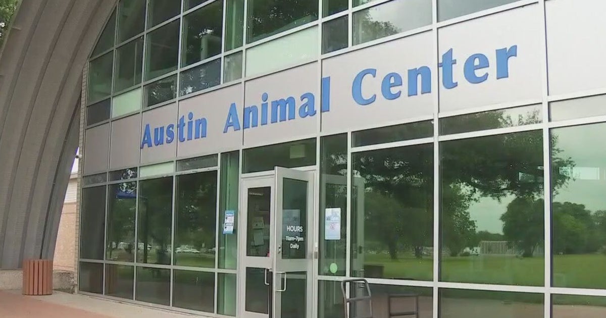Austin Animal Center no longer required to notify APA! before spaying ...