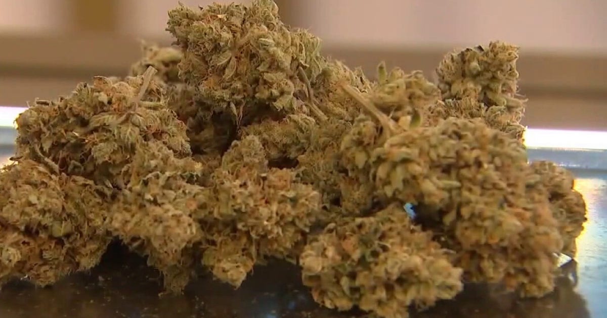 'Last Prisoner Project' pushing Texas to revisit cannabis convictions ...