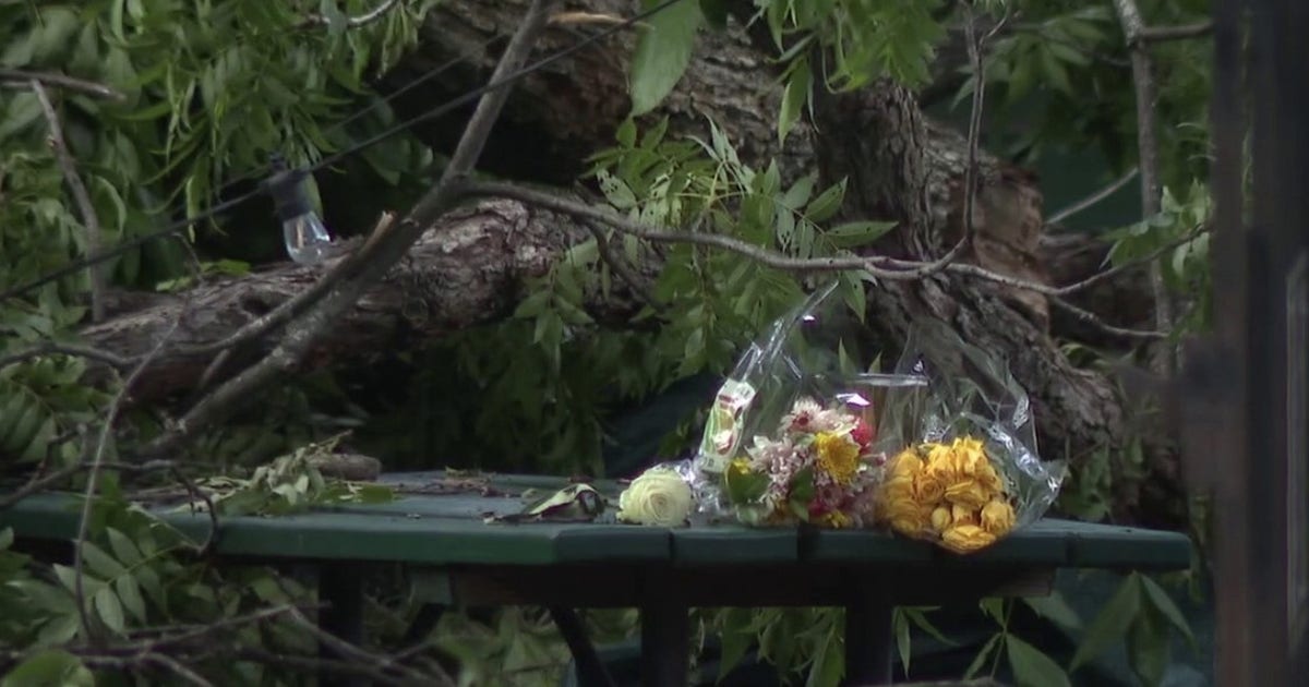 Lawsuit filed after falling tree kills man at Austin BBQ restaurant ...
