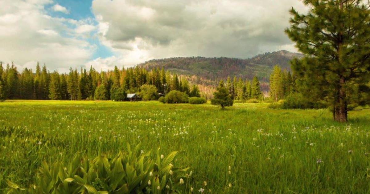 Yosemite National Park adds 400 acres, its first expansion in 70 years ...