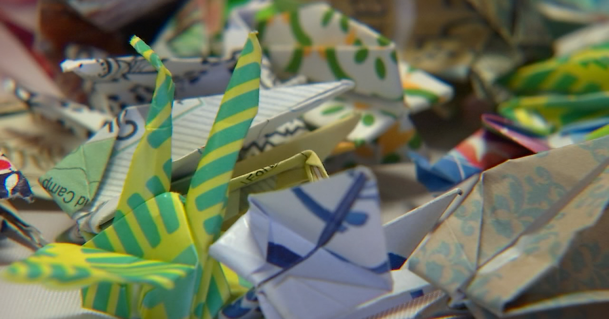 Cancer survivors fold thousands of origami cranes to spread hope | FOX ...