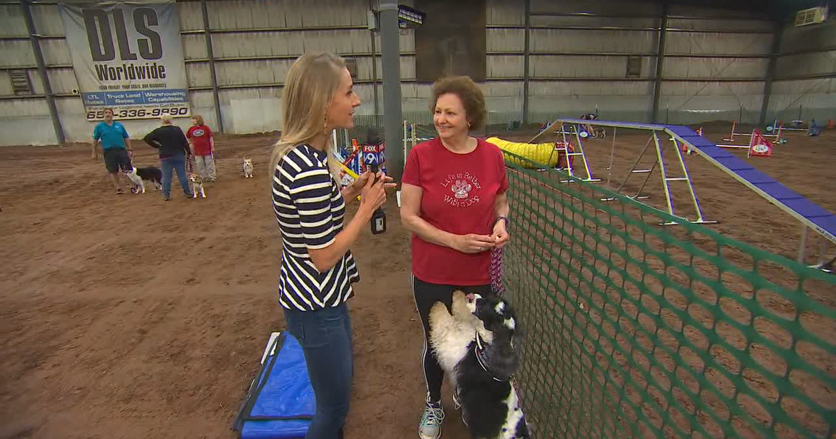 Who's the top (and most agile) dog? | FOX 9 Minneapolis-St. Paul