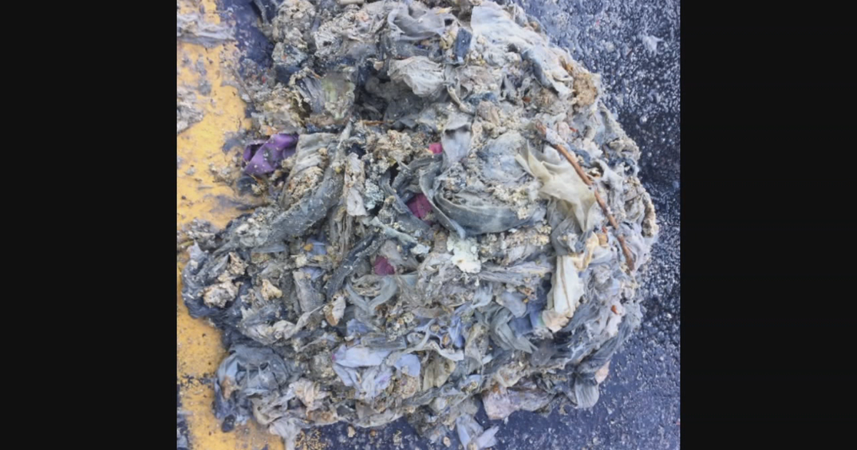 Clump of flushable wipes, diapers clogs Hopkins sewer | FOX 9 ...