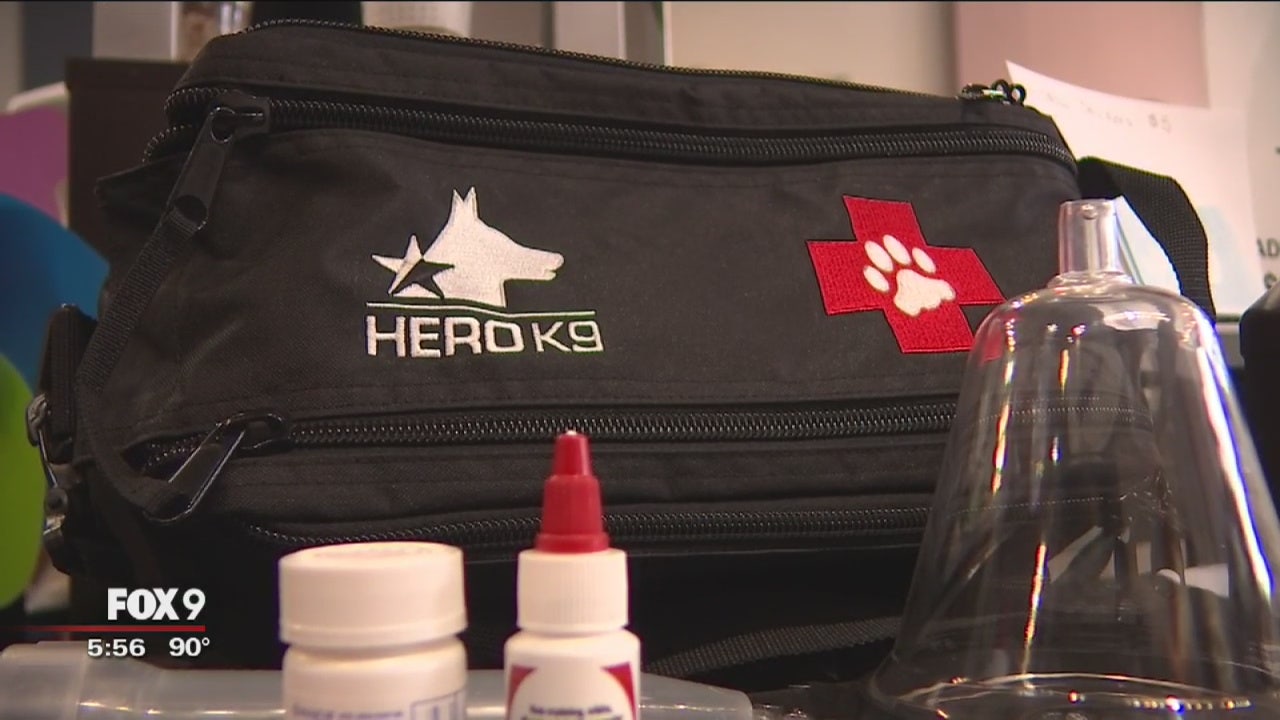 Hero K9 fundraiser kicks off on Sunday