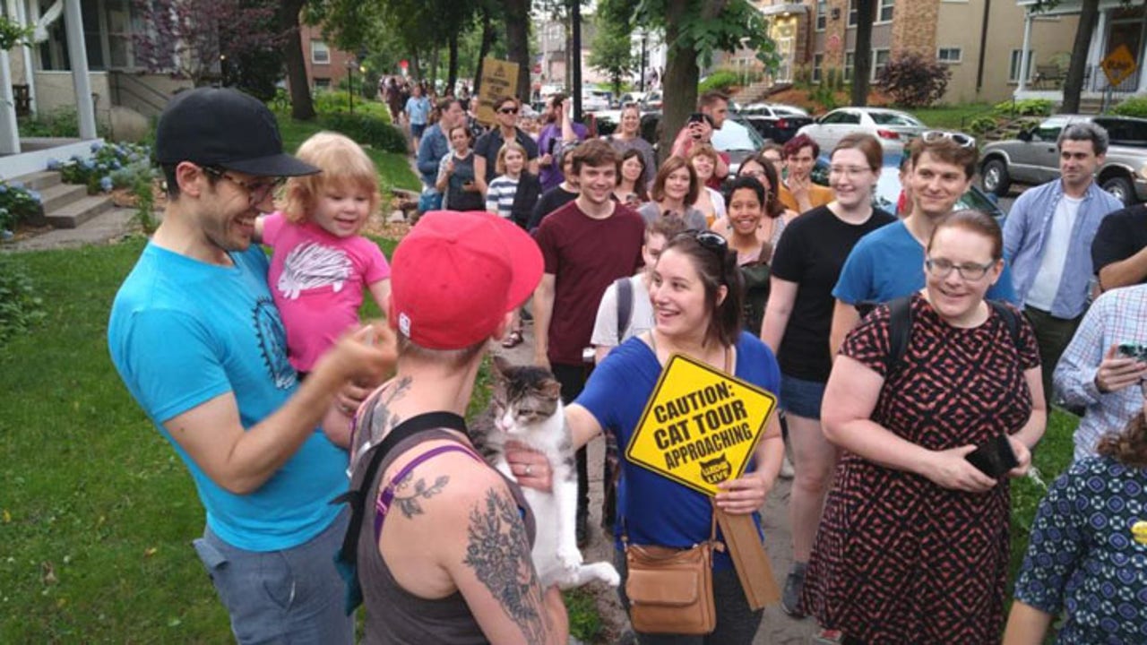 300 people turn out for tour of cats in Minneapolis' Wedge neighborhood ...