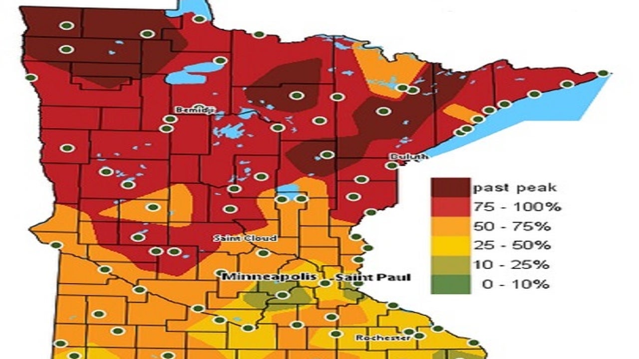 Fall colors starting to peak | FOX 9 Minneapolis-St. Paul