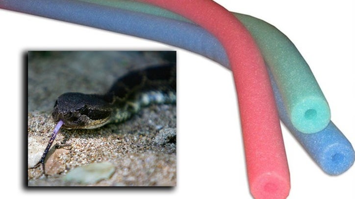 Fire department warns citizens that snakes may be in their pool noodles ...