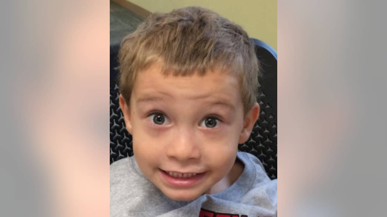 Police locate wandering, diaper-clad toddler's Brooklyn Park home | FOX ...