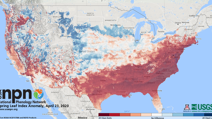 Spring leaf out is here with the spring bloom not far behind | FOX 9 ...
